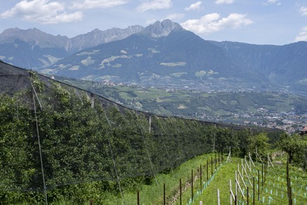 500 Merano Stock Pictures, Editorial Images and Stock Photos | Shutterstock