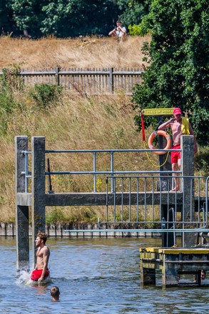 People Dive Mens Bathing Pond Cool Editorial Stock Photo - Stock Image ...