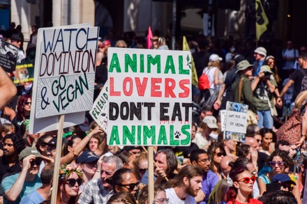National animal rights march in London, UK - 06 Aug 2022 Stock Pictures ...