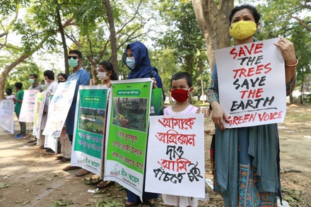 Proenvironmentalist Youth Organization Green Voice Activists Editorial ...