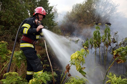 Firefighter Puts Out Vegetation Fire Started Editorial Stock Photo ...