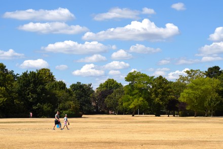 Heatwave Builds Central Park Dartford Baked Editorial Stock Photo ...