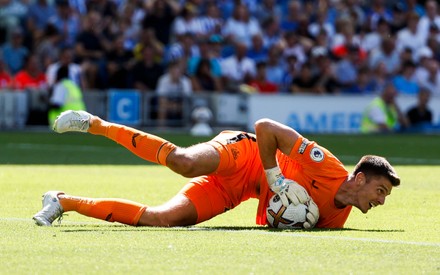 Nick Pope Goalkeeper Newcastle United Editorial Stock Photo - Stock ...