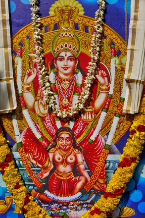 250 Goddess attukal devi Stock Pictures, Editorial Images and Stock ...