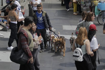 5,000 Daily life in mexico Stock Pictures, Editorial Images and Stock ...
