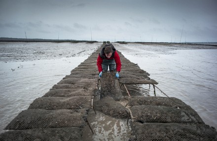 100 Great salt basin Stock Pictures, Editorial Images and Stock Photos ...