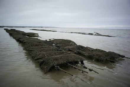 100 Great salt basin Stock Pictures, Editorial Images and Stock Photos ...