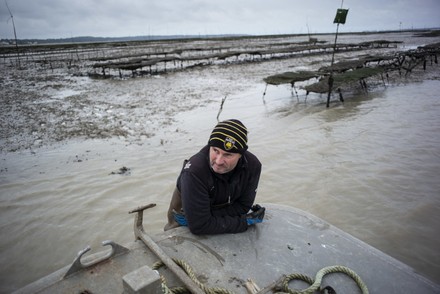 100 Great salt basin Stock Pictures, Editorial Images and Stock Photos ...