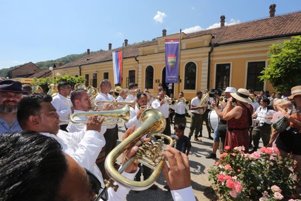 Dragacevo Trumpeters Festival 61st Row Began Editorial Stock Photo ...