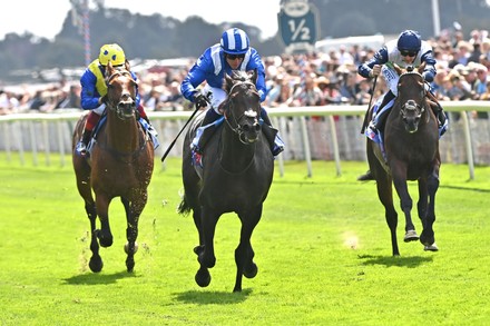 York Races, UK - 20 Aug 2022 Stock Pictures, Editorial Images and Stock ...