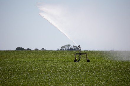 Dry Agricultural Fields Illustration Drought Affecting Editorial Stock ...