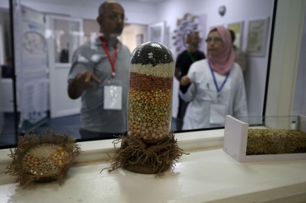 Inauguration National Seed Bank Ncc National Editorial Stock Photo ...