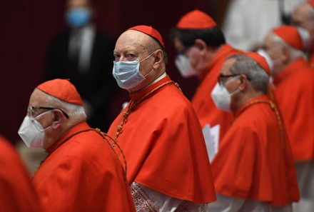 Pope Francis Celebrates Mass Newly Elected Editorial Stock Photo ...