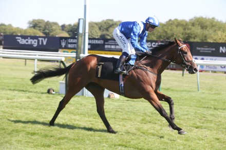 250 Weatherbys racing bank Stock Pictures, Editorial Images and Stock ...