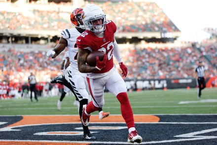 Andre Baccellia 82 Arizona Cardinals Touchdown Editorial Stock Photo ...