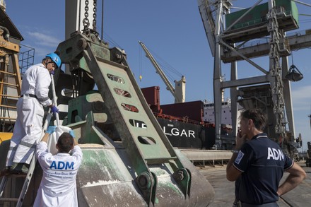 250 Corn cargo Stock Pictures, Editorial Images and Stock Photos ...