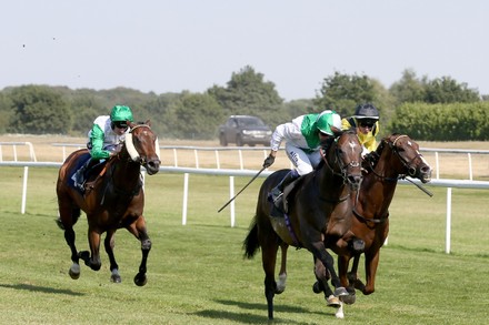 2,000 Doncaster races Stock Pictures, Editorial Images and Stock Photos ...