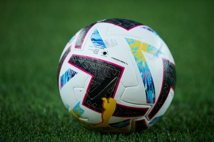 New Puma Ball Season During La Editorial Stock Photo - Stock Image ...