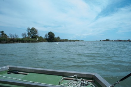 Sailing On Po River Delta Touched Editorial Stock Photo - Stock Image ...
