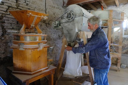 Organic Miller At Work - France, Molandier - 15 Apr 2020 Stock Pictures ...