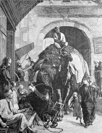 Street Cairo Merchant Loaded Camel Rides Editorial Stock Photo - Stock ...
