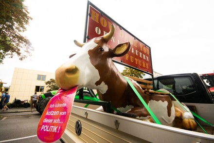 Decoration Cow Sign Quot Could Puke Editorial Stock Photo - Stock Image ...