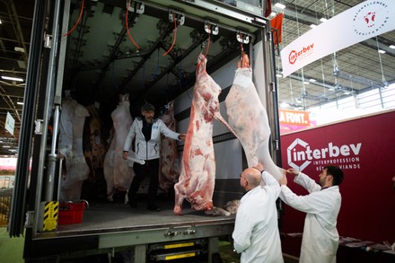 Butcher Getting Meat Off Truck During Editorial Stock Photo - Stock ...