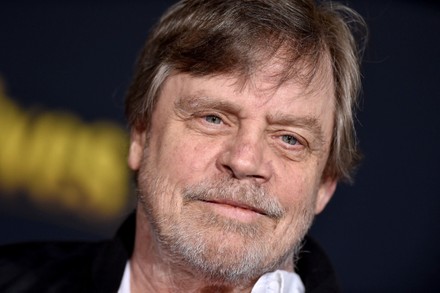 Mark Hamill Attends Premiere Knives Out Editorial Stock Photo - Stock ...