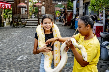 Tourist Snake Around Her Neck Busy Editorial Stock Photo - Stock Image ...