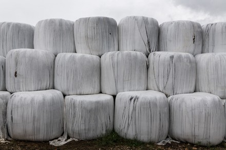 Black Soot Marks On Protection Grass Editorial Stock Photo - Stock ...