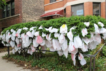 2,000 Single use plastic Stock Pictures, Editorial Images and Stock ...