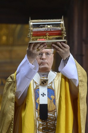 Primate Hungarian Catholic Church Archbishop Esztergombudapest ...