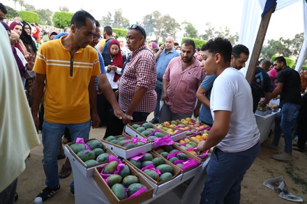 2,000 Ismailia egypt Stock Pictures, Editorial Images and Stock Photos ...