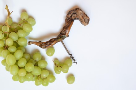 500 Free wine Stock Pictures, Editorial Images and Stock Photos ...