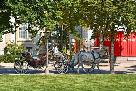 90 Cattle carts Stock Pictures, Editorial Images and Stock Photos ...