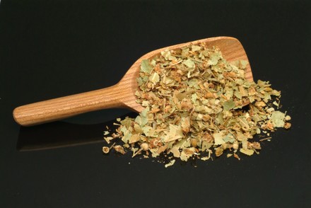 1,000 Linden tree Stock Pictures, Editorial Images and Stock Photos ...