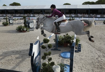 Rider Jumps His Horse During Race Editorial Stock Photo - Stock Image ...