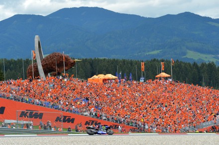 80 Paddock box Stock Pictures, Editorial Images and Stock Photos ...