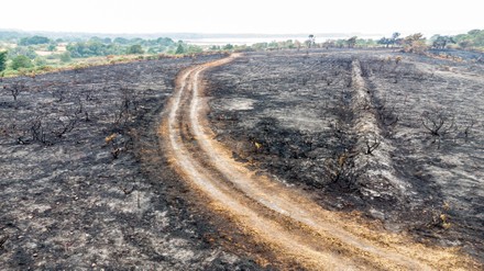250 Charred land Stock Pictures, Editorial Images and Stock Photos ...
