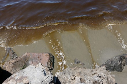 Deep Brown Maroon Water Alage Along Editorial Stock Photo - Stock Image ...