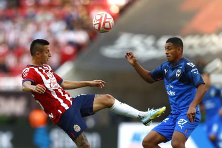 Chivas vs Monterrey, Guadalajara, Mexico - 24 Aug 2022 Stock Pictures ...