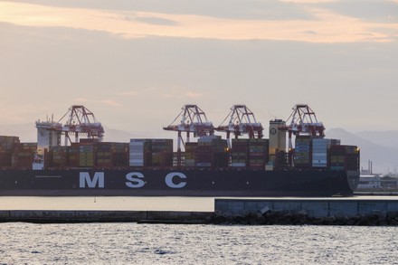Msc Mia Container Ship Port Barcelona Editorial Stock Photo - Stock ...