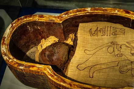Mummification Museum Intended Provide Understanding Process Editorial ...
