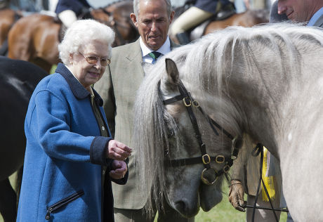 Queen Elizabeth Ii Groom Terry Pendry Editorial Stock Photo - Stock ...