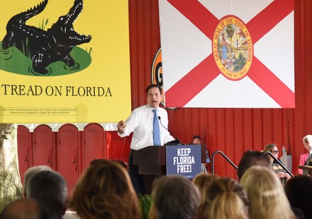 Us Sen Marco Rubio Speaks Supporters Editorial Stock Photo - Stock ...