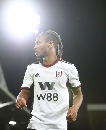 Terry Ablade Fulham Waves Fans Editorial Stock Photo - Stock Image ...
