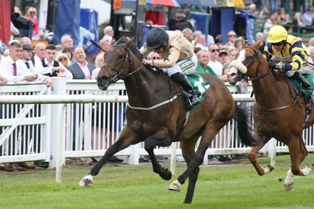 250 Thirsk races Stock Pictures, Editorial Images and Stock Photos ...