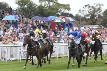 250 Thirsk races Stock Pictures, Editorial Images and Stock Photos ...