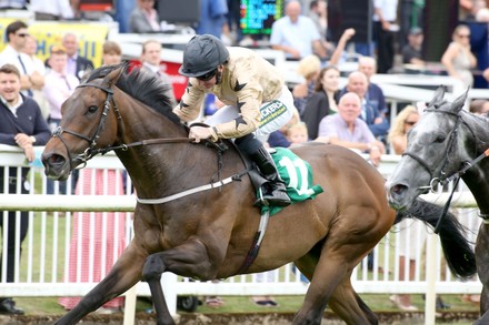 Runninwild 11 Ridden By Paul Hanagan Editorial Stock Photo - Stock ...