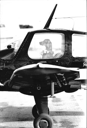 Pilot Terry Hiscock Who Flies His - Foto de stock de contenido ...
